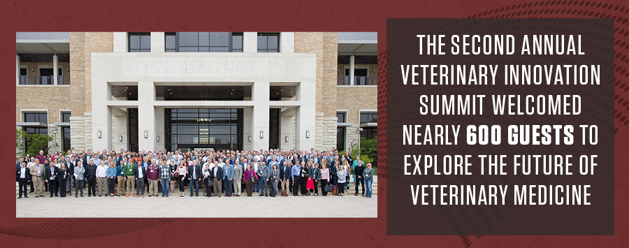 Texas A&M College of Veterinary Medicine & Biomedical Sciences