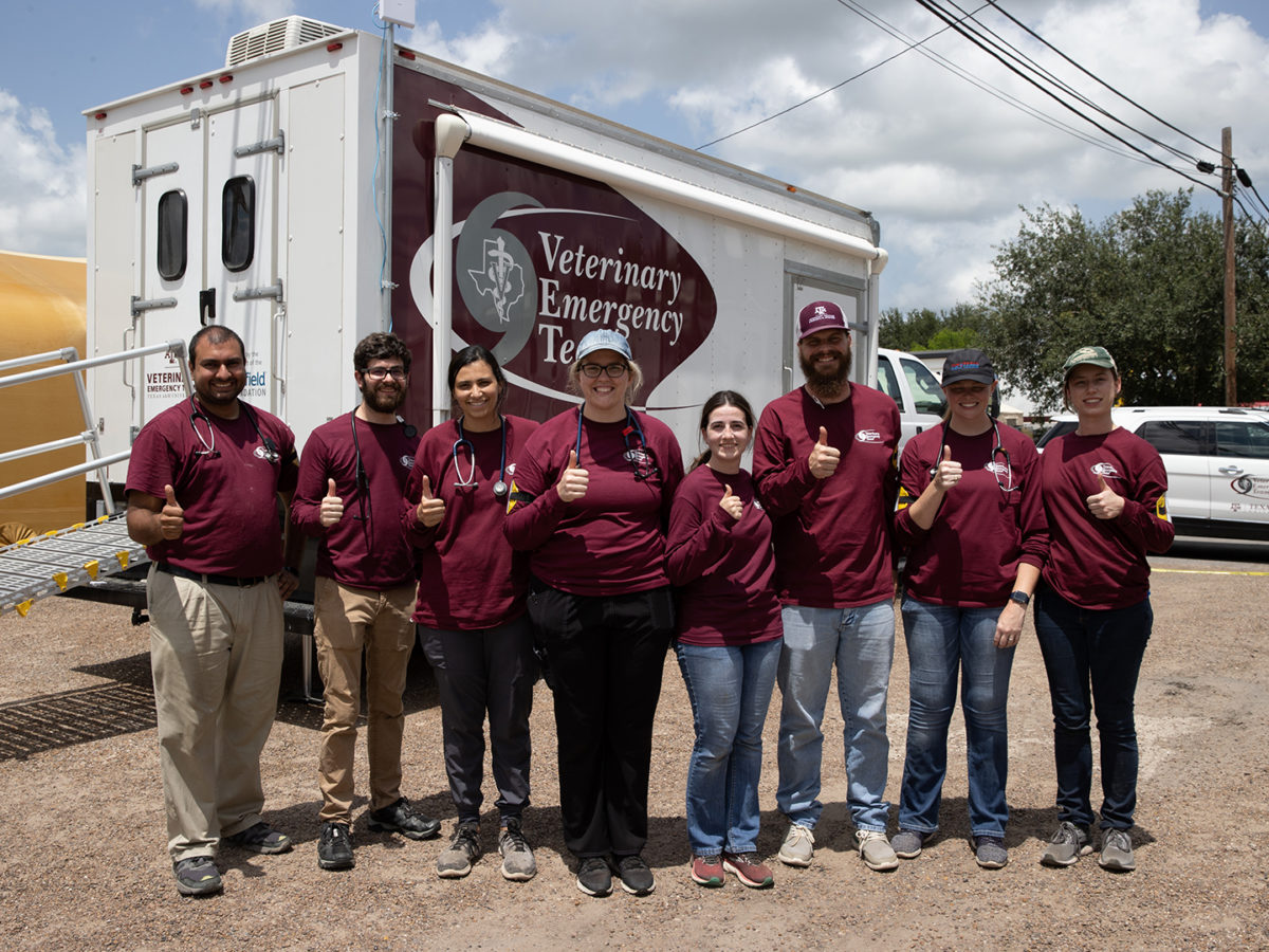TAMU Veterinary Students To Receive AVMA First Responder Certificate