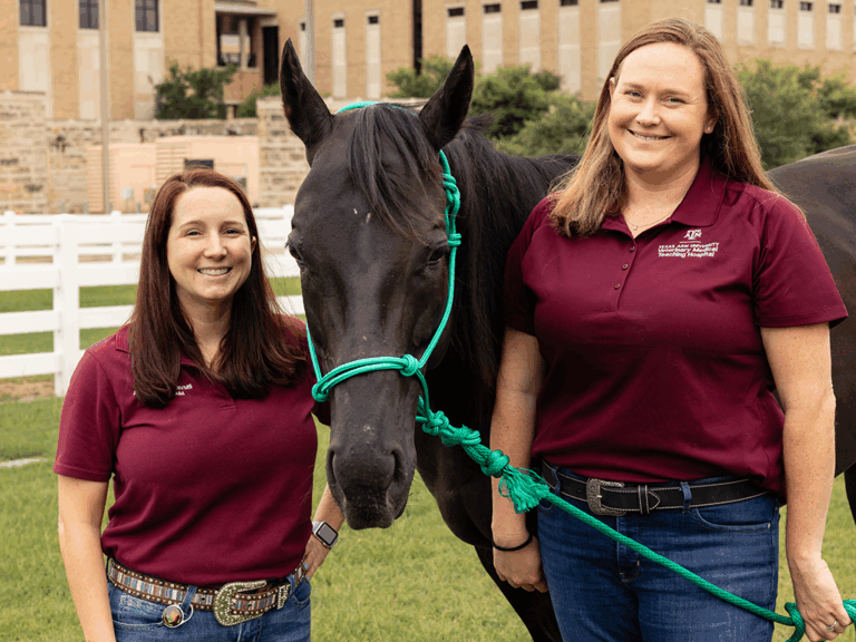 Texas A&M Offers New Hemoperfusion Clinical Trial | VMBS News