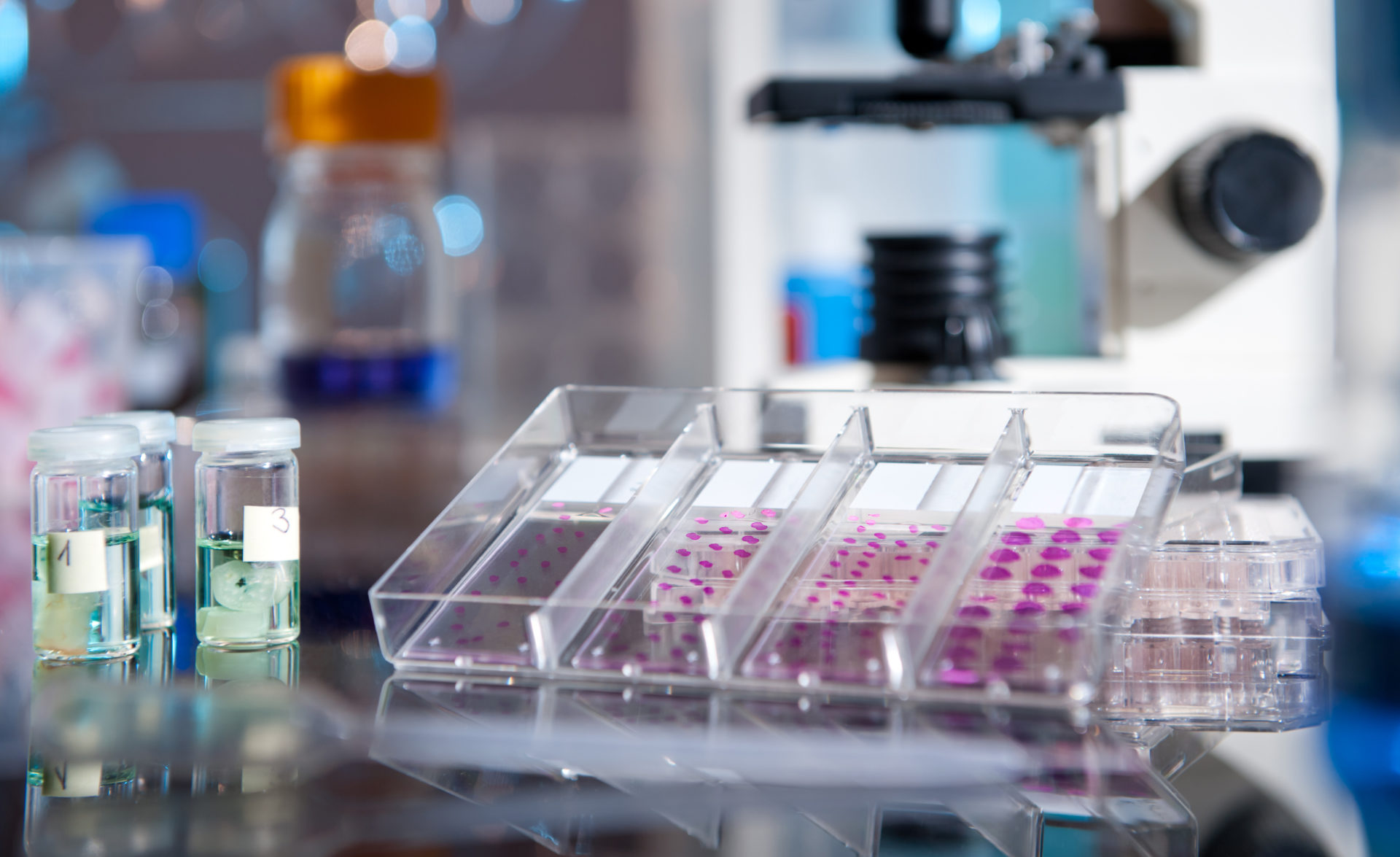 Diagnostic Histology Unit - VMBS Core Histology Lab